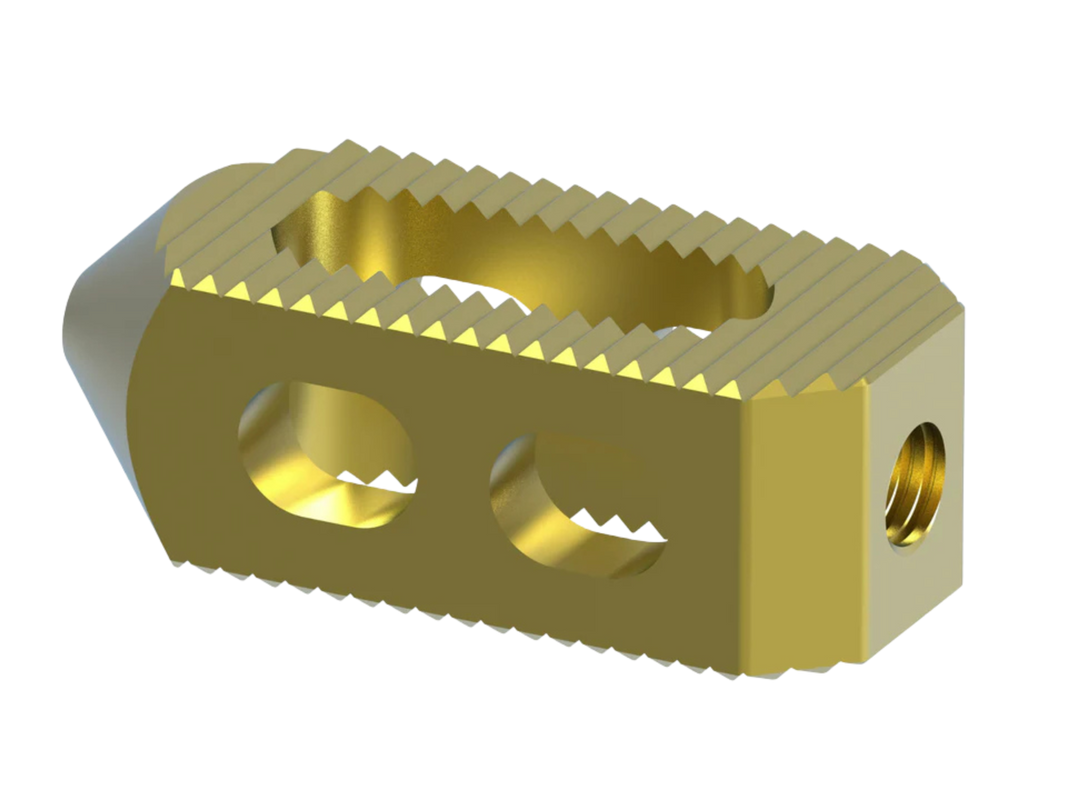 PLIF CAGE (BULLET CAGE) – Ace Osteomedica